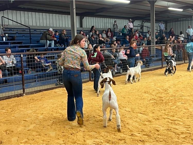 Live Feed | Jourdanton ISD