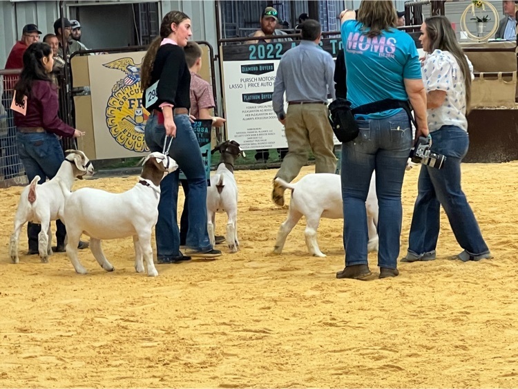 Live Feed | Jourdanton ISD